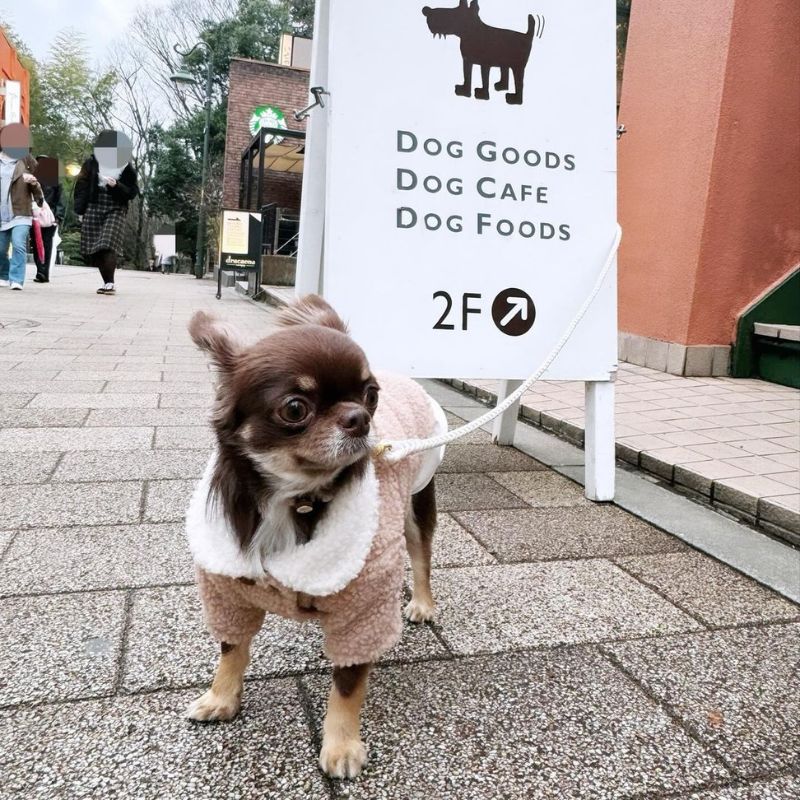 【吉祥寺】愛犬と楽しむドッグカフェ19選｜大型犬・店内同伴OKのお店も | INUNAVI（いぬなび）