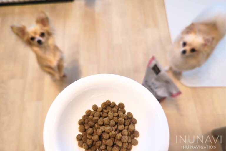 POCHI ザ・ドッグフードを実際に購入して徹底検証｜口コミ評判や専門家の評価は？ | INUNAVI（いぬなび）