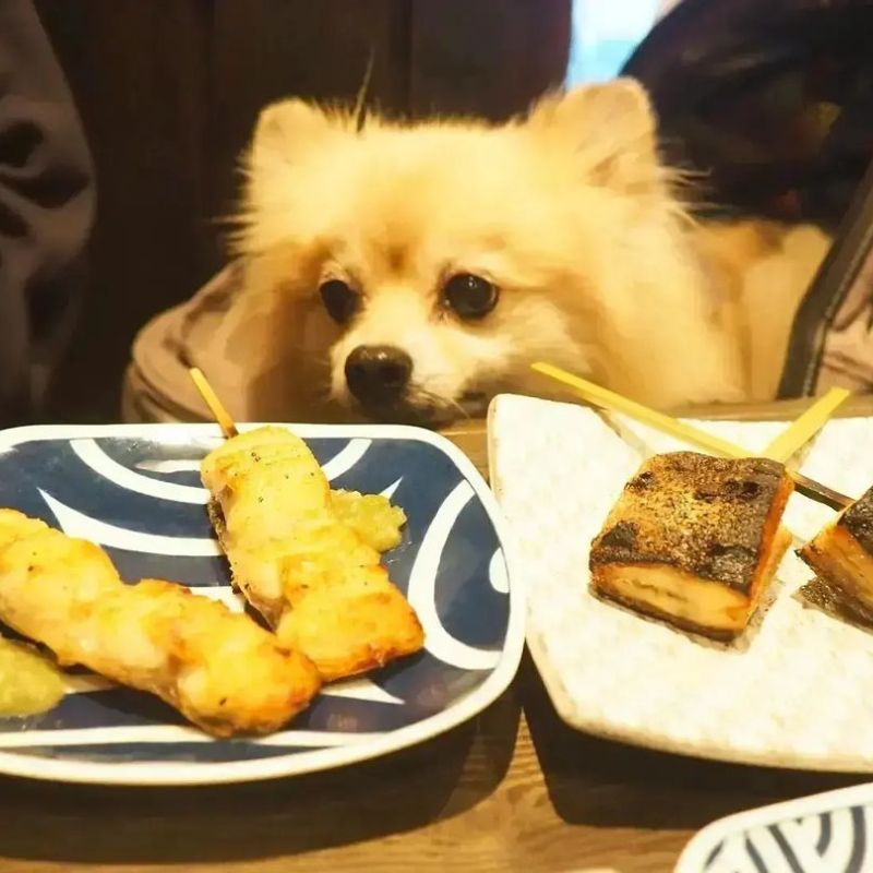 【池袋ドッグカフェ】駅から徒歩15分以内の犬同伴可能な人気カフェ・レストラン16選 | INUNAVI（いぬなび）