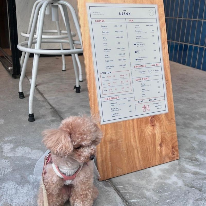 【浅草・蔵前ドッグカフェ】愛犬と行ける人気カフェ・レストラン21選｜大型犬OK | INUNAVI（いぬなび）