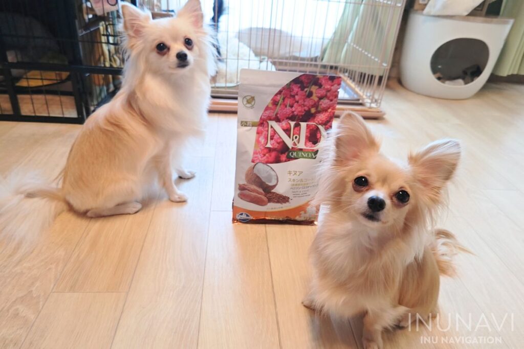 N＆D(ナチュラルアンドデリシャス)ドッグフードの口コミ評判は？専門家が徹底評価！ | INUNAVI（いぬなび）