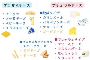 犬に与えてもOKな人間用チーズ一覧｜塩分の量に注意！【獣医師監修】 | INUNAVI（いぬなび）