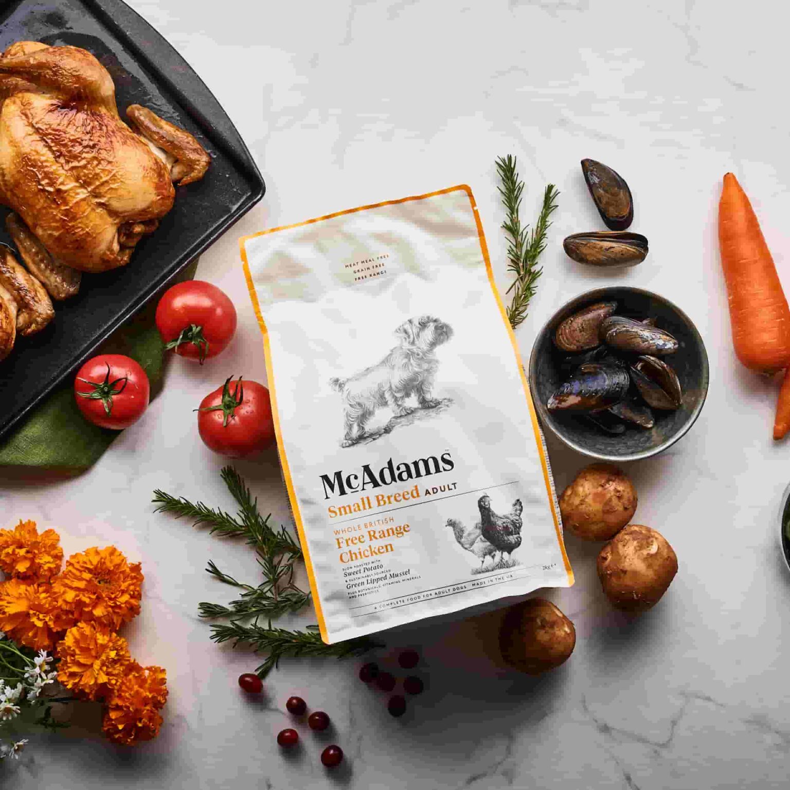 犬がドッグフード食べない原因と対策9選！食いつきが良い餌やわがままに効果的な対処法も紹介【獣医師監修】 | INUNAVI（いぬなび）