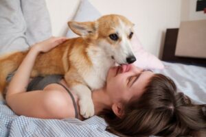 愛犬が手を舐めてくるのはなぜ？しつこいときのやめさせ方も【ドッグトレーナー監修】 | INUNAVI（いぬなび）