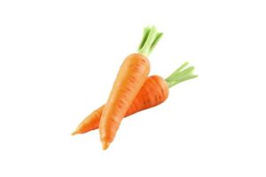 【獣医師監修】犬はにんじんを食べても大丈夫！1日に食べられる量や注意点を解説 | INUNAVI（いぬなび）